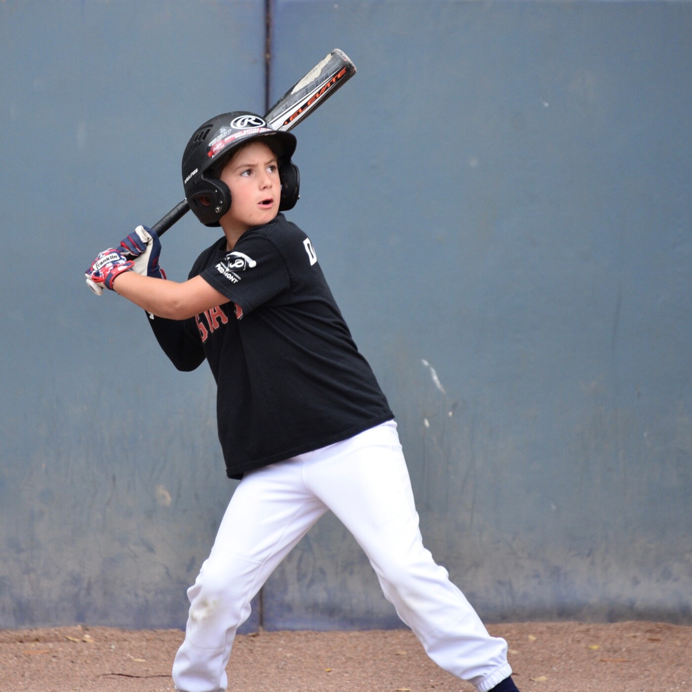 2019 PBSF Pinto Championship | Piedmont Exedra