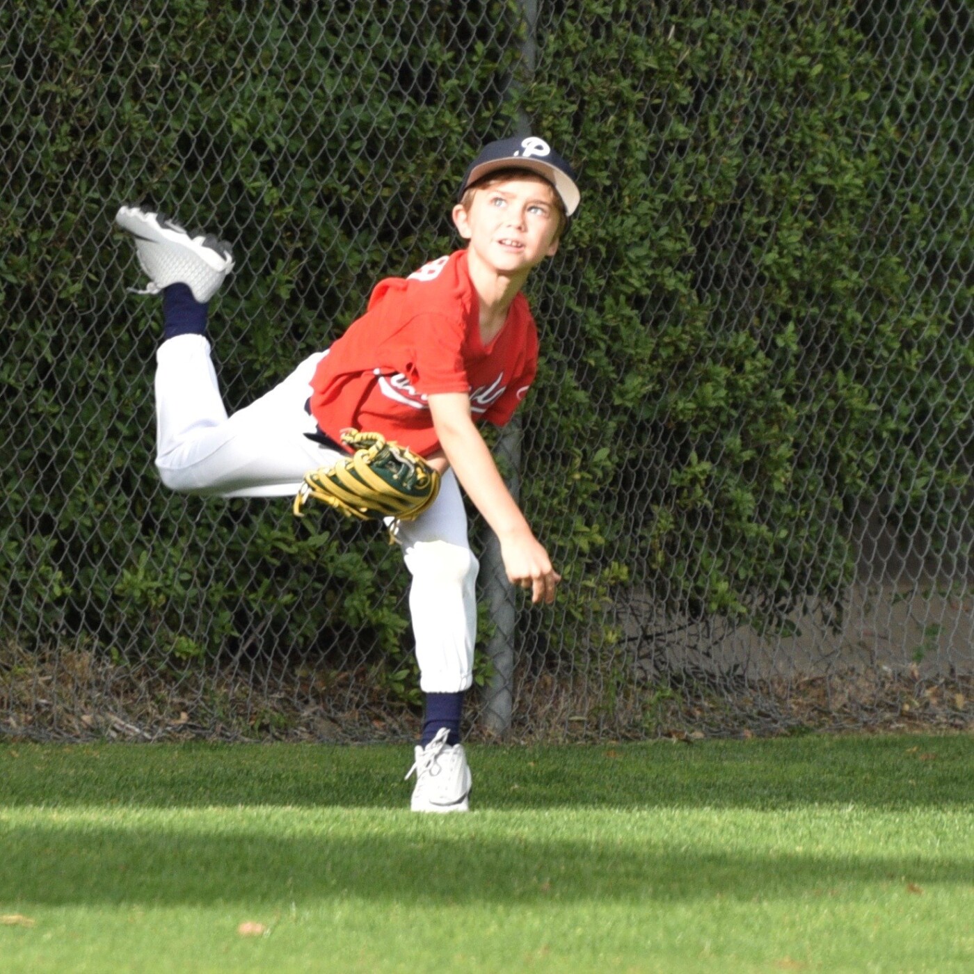 2019 PBSF Pinto Championship | Piedmont Exedra