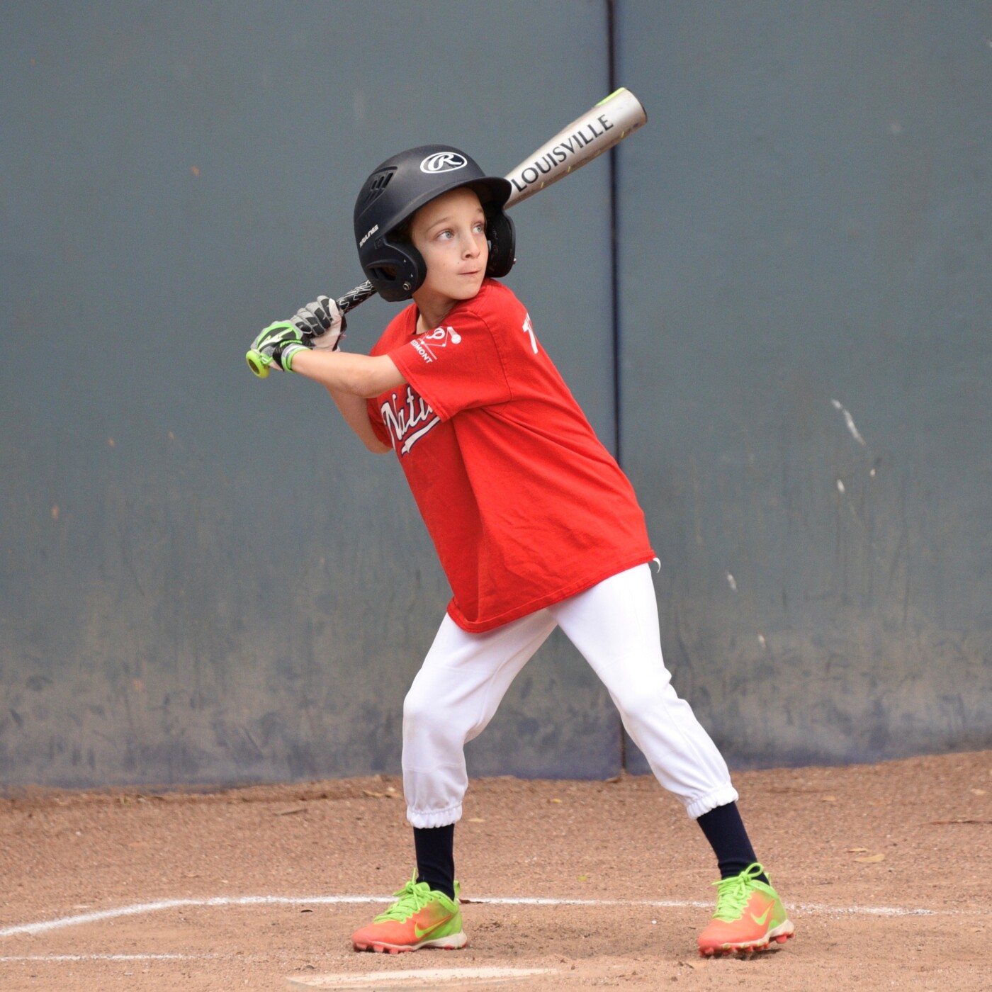 2019 PBSF Pinto Championship | Piedmont Exedra