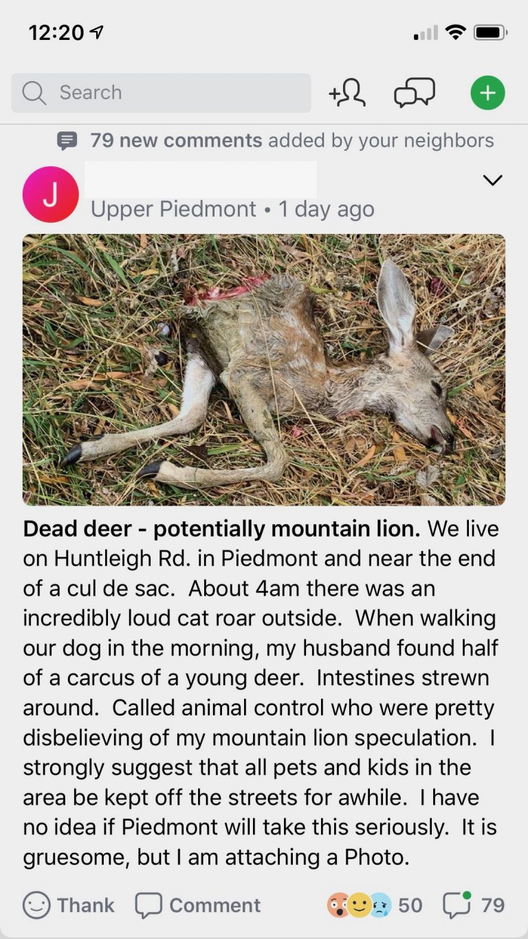 Crime Report | Graffiti with anti-police slogans; social distancing ...