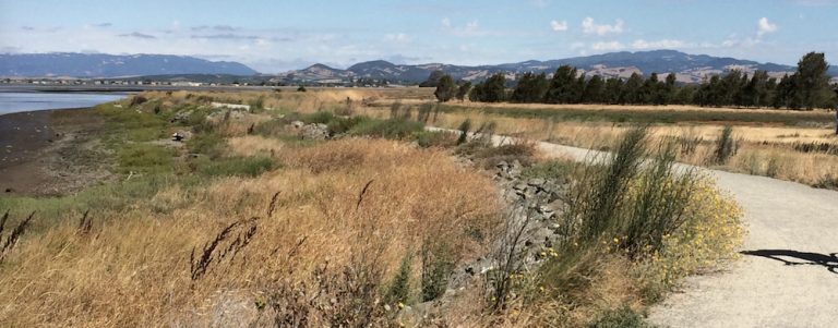 Coastal Conservancy awards funding for coastal restoration and ...