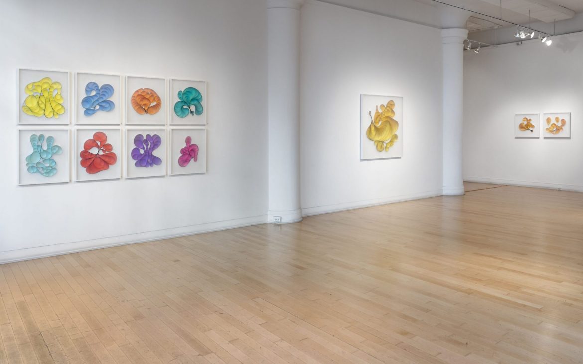 How Lisa Dolby Chadwick kept her gallery running and her community’s ...