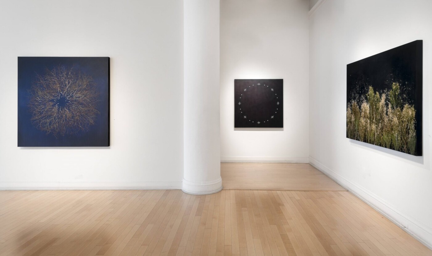 How Lisa Dolby Chadwick kept her gallery running and her community’s ...
