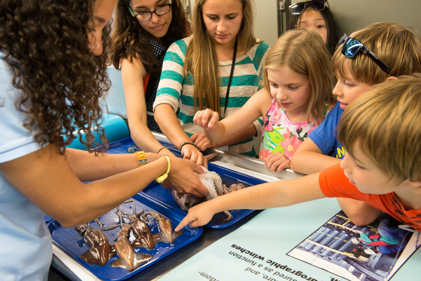 After a pandemic hiatus, famed SF museum to reopen to the public ...