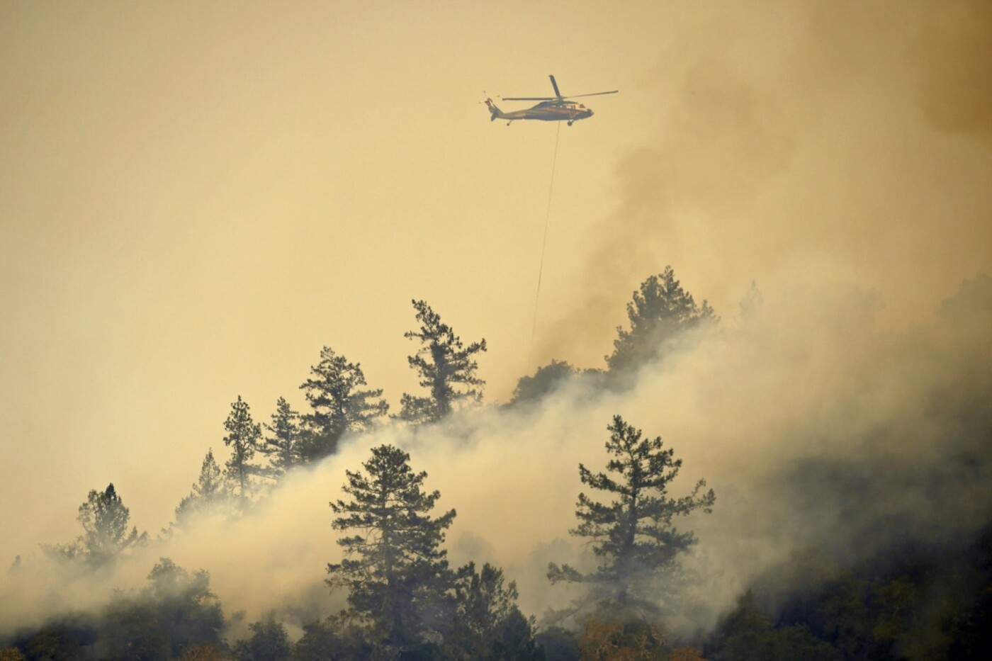 California’s 2020 fire siege: wildfires by the numbers | Piedmont Exedra