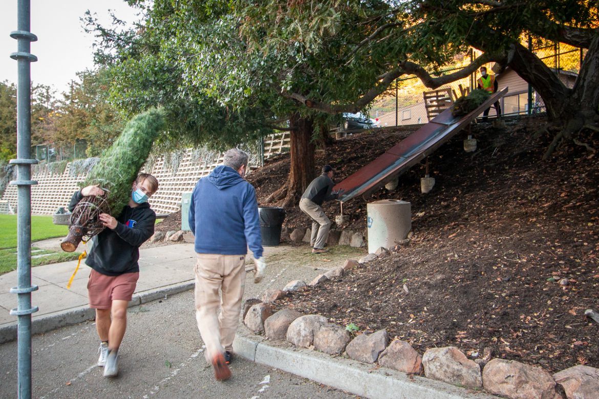 Scout Tree Lot returns to form | Piedmont Exedra