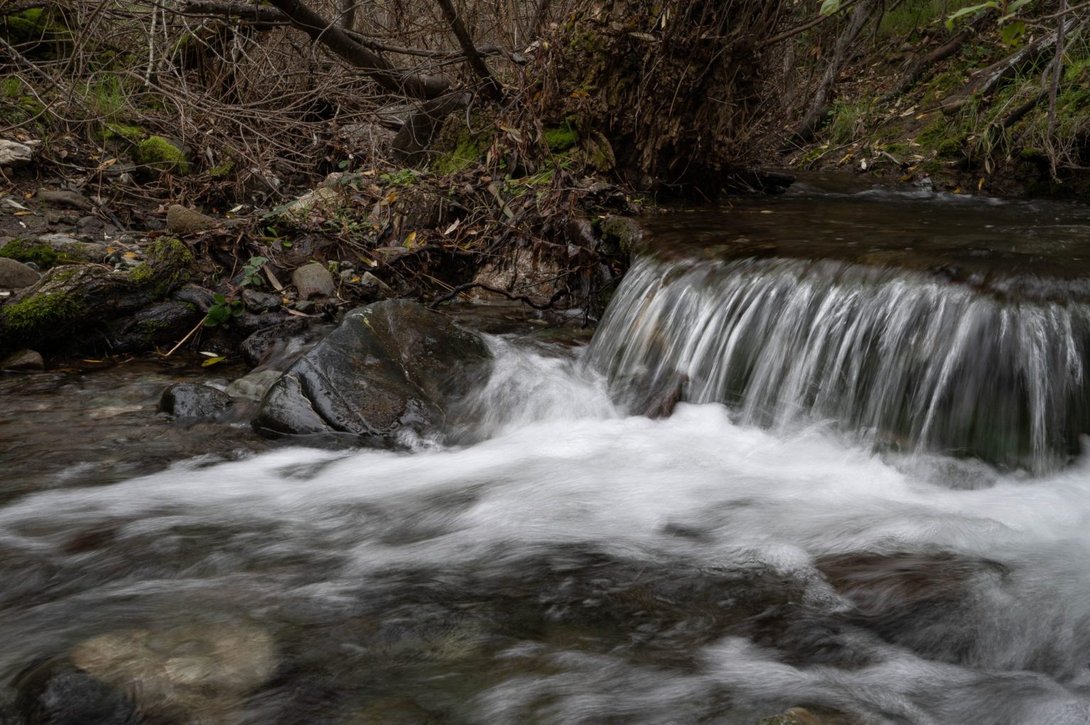 Chasing waterfalls: Time to hike Mount Diablo State Park is now ...