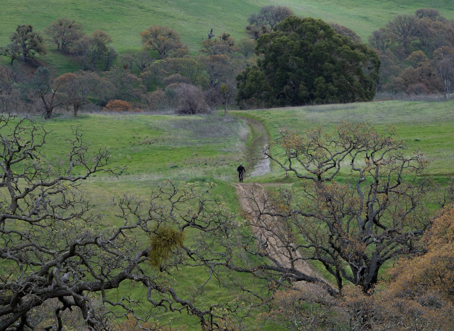 Chasing waterfalls: Time to hike Mount Diablo State Park is now ...