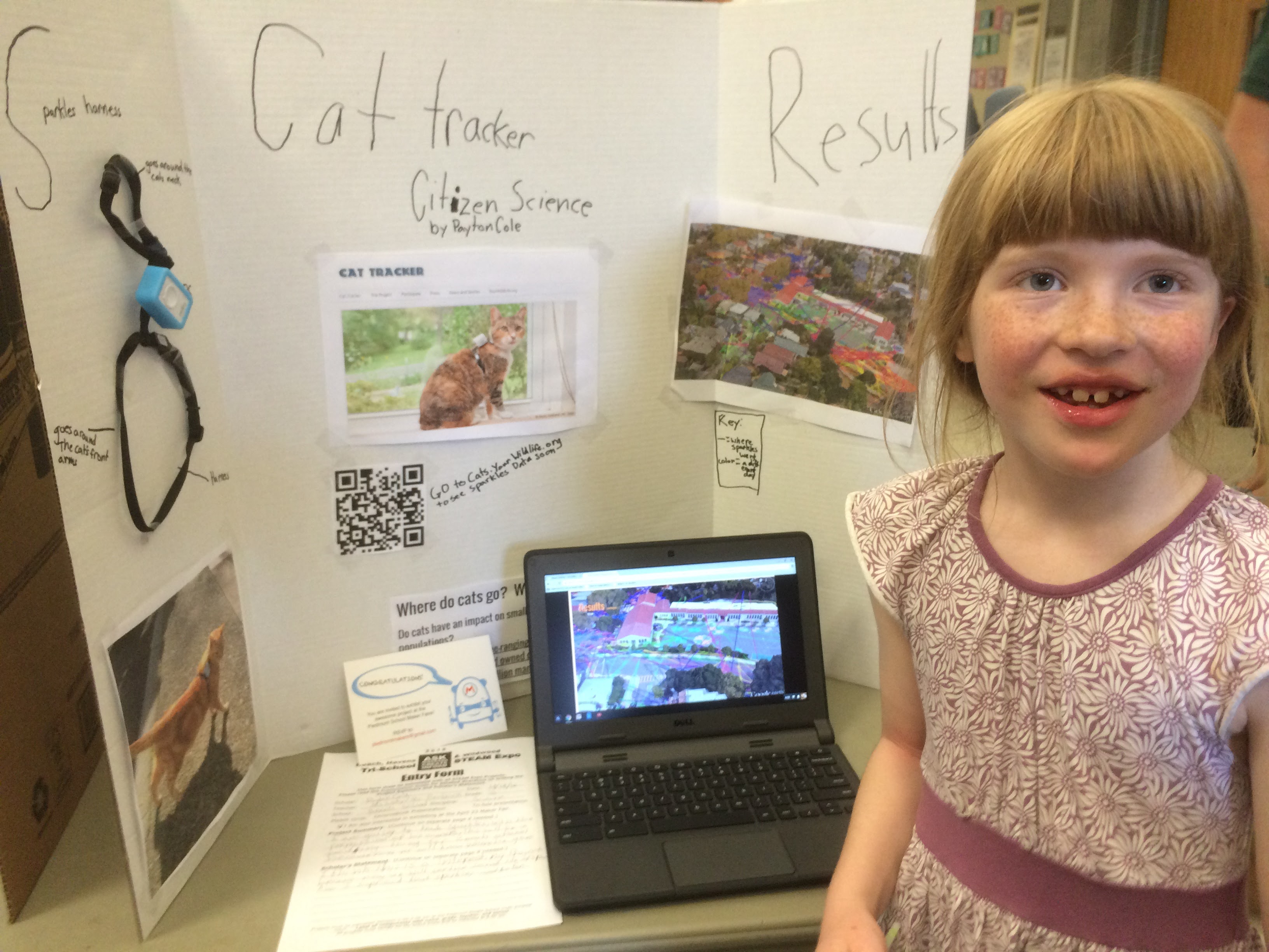 Farewell to ‘one in a zillion’ cat that adopted Beach Elementary as his ...