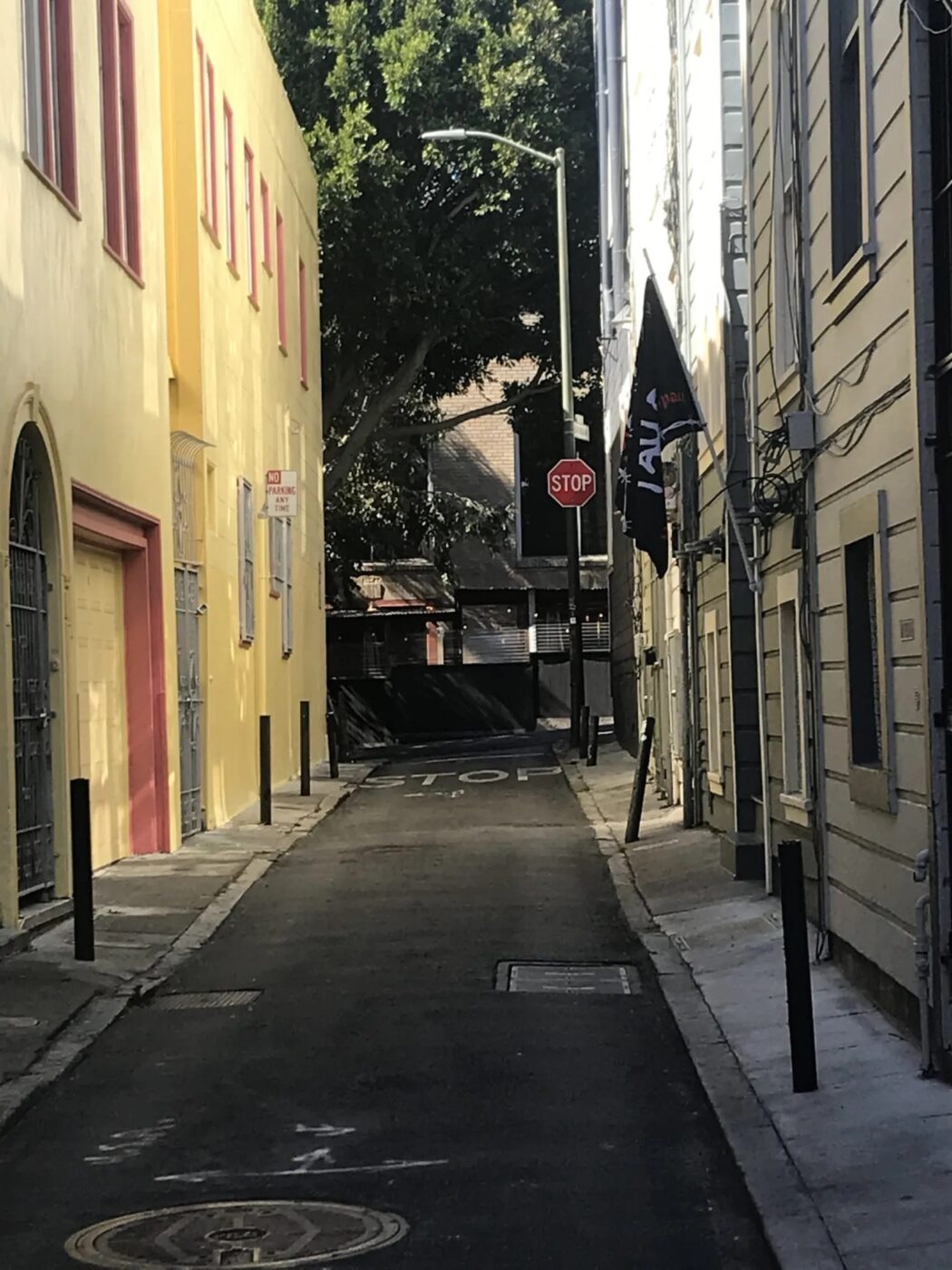 ‘Punk rock finds you’: Destroy Art cofounder on Fallout SF | Piedmont ...