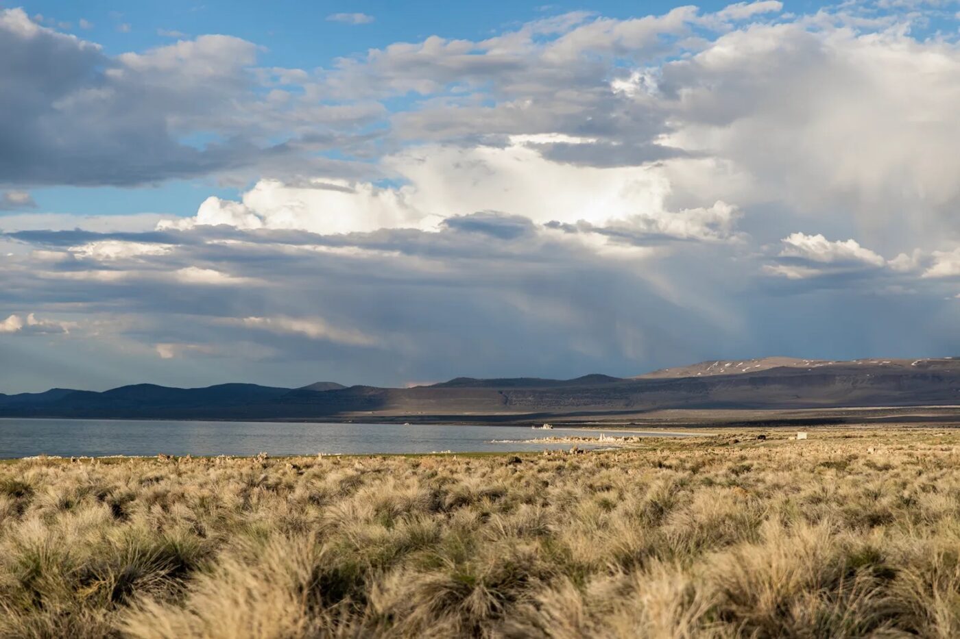 State asked to stop diverting iconic Mono Lake’s water to Los Angeles ...