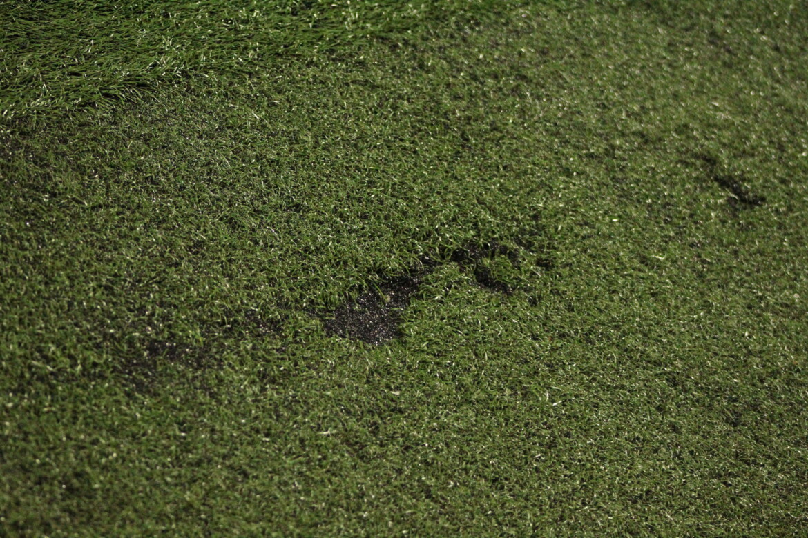 Witter Field makeover updates | Piedmont Exedra