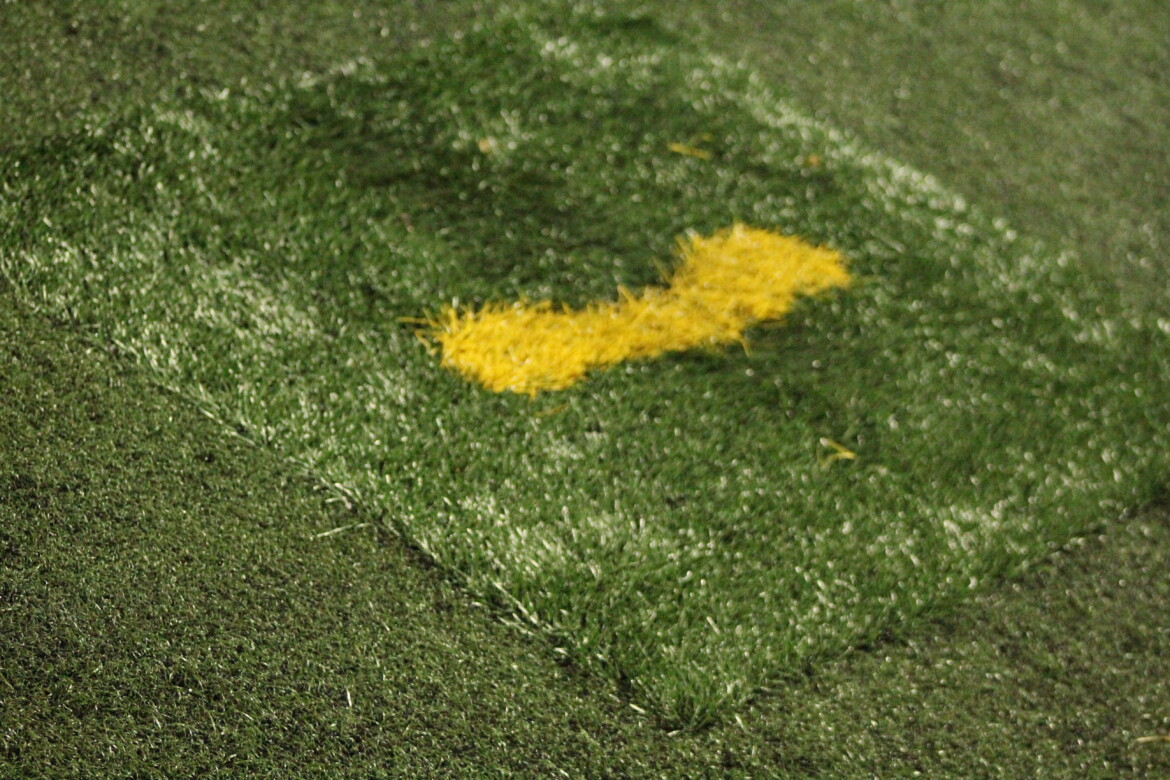 Witter Field makeover updates | Piedmont Exedra