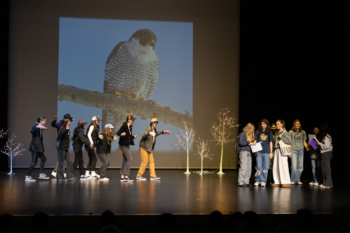 Photos | 55th Annual Bird Calling Contest | Piedmont Exedra