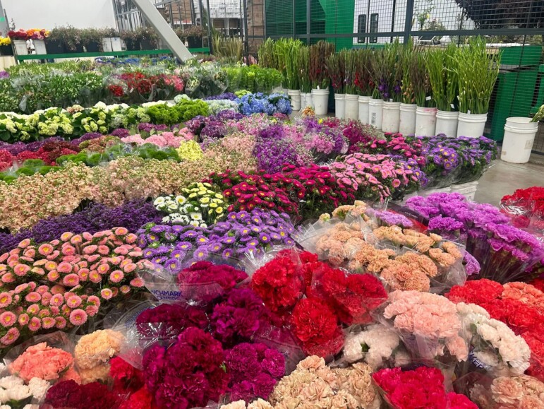San Francisco’s famed Flower Market ready to bloom in spacious new ...